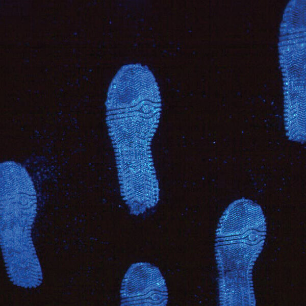 Lightning Luminol, 16 oz.– Forensics Source